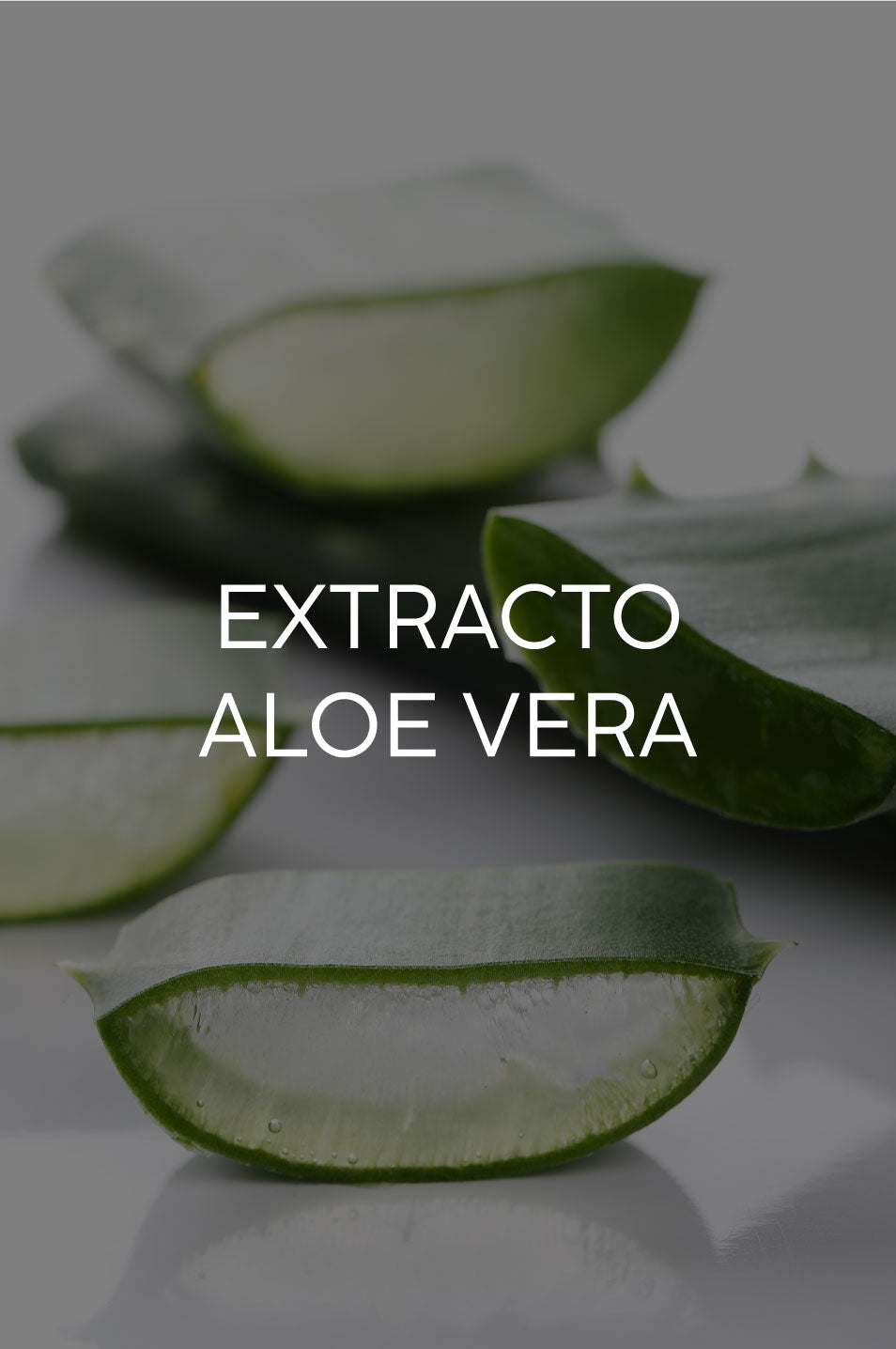 ALOE VERA EXTRACT || NATURY GREEN CARE